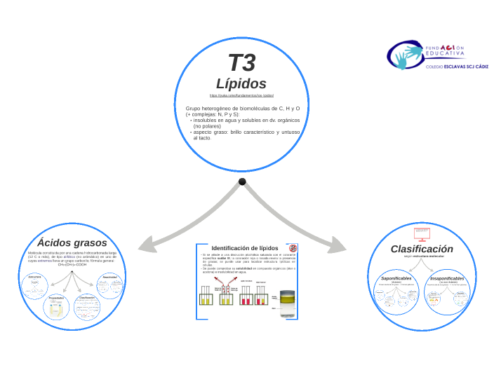 T3 Lípidos by Alvaro Aballe on Prezi
