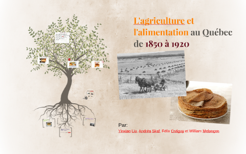 L'agriculture et l'alimentation du Québec de 1850 à 1920 by Yinxiao Liu ...