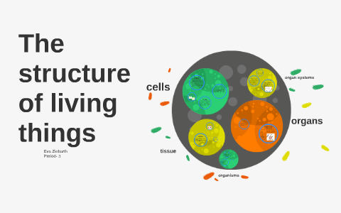 The structure of living things by e v a z i e b a r t h on Prezi