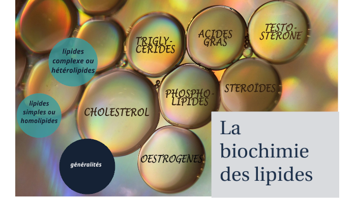la biochimie des lipides by Marie-Amélie pauwels on Prezi