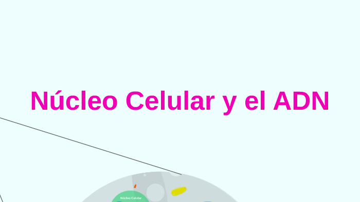 Núcleo Celular y el ADN by Isabel Crespo on Prezi
