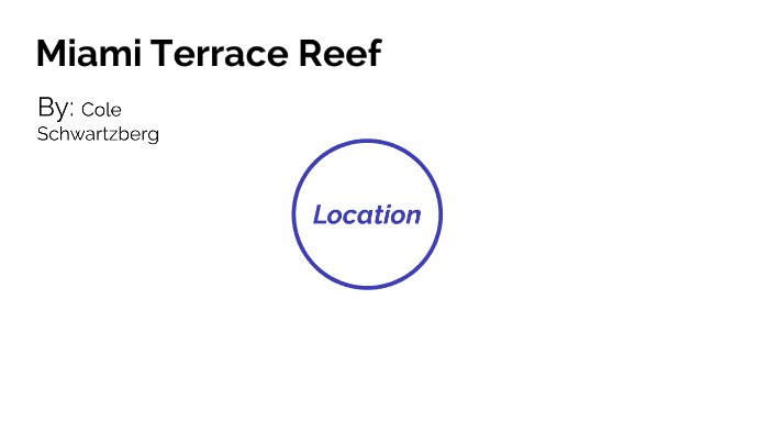 Miami Terrace Reef by Cole Schwartzberg on Prezi