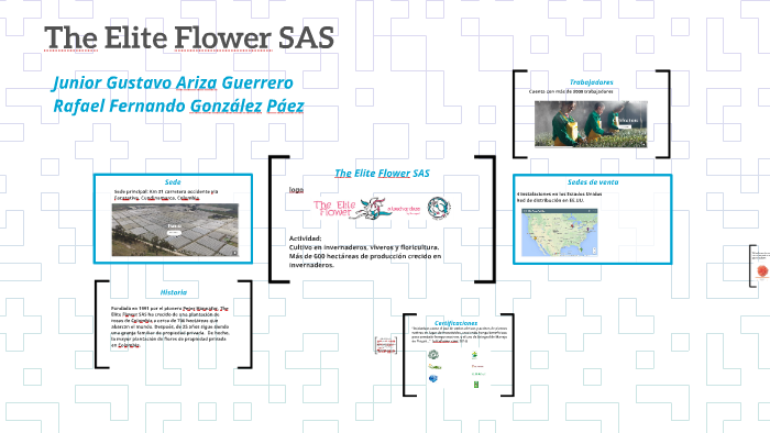 The elite flowers by on Prezi