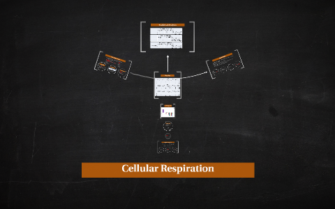Cellular Respiration by Alex Slota on Prezi