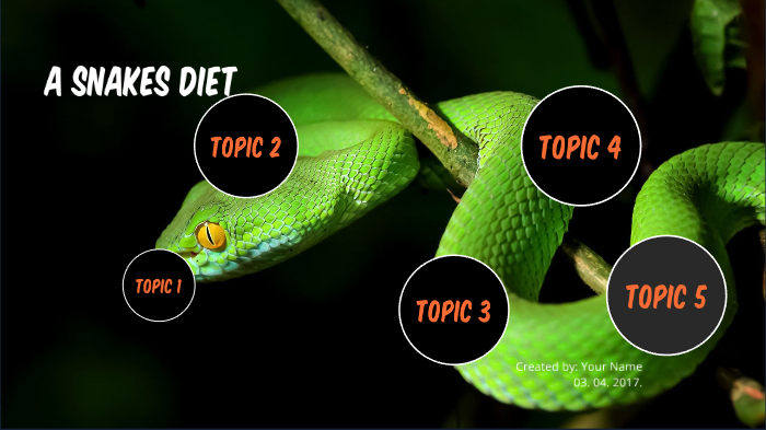 A Snake's Diet. by Josh DuRette on Prezi