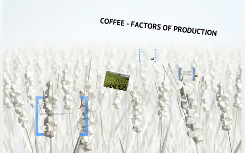 Coffee - Factors of Production by Amy Flanagan on Prezi