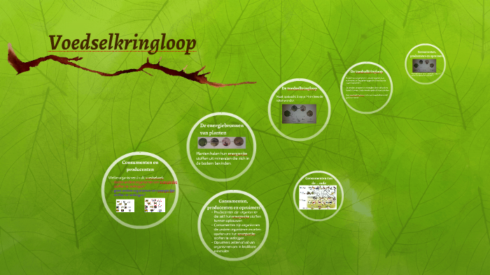 Voedselkringloop by on Prezi