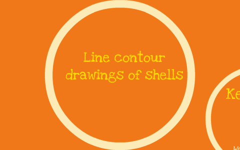Shell contour line drawing lesson by Vickie Gorton on Prezi