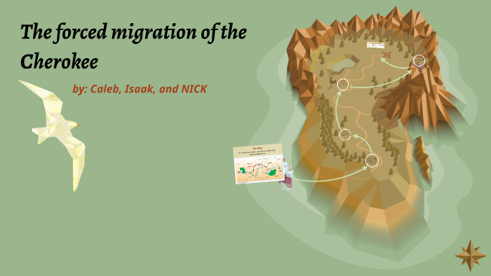 The forced migration of the Cherokee by Isaak Ulm on Prezi