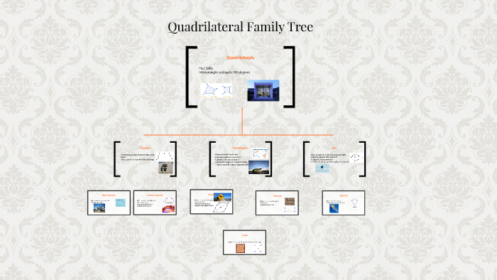 Quadrilateral Family Tree by Ian Dominguez