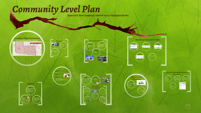 Community Level Plan by