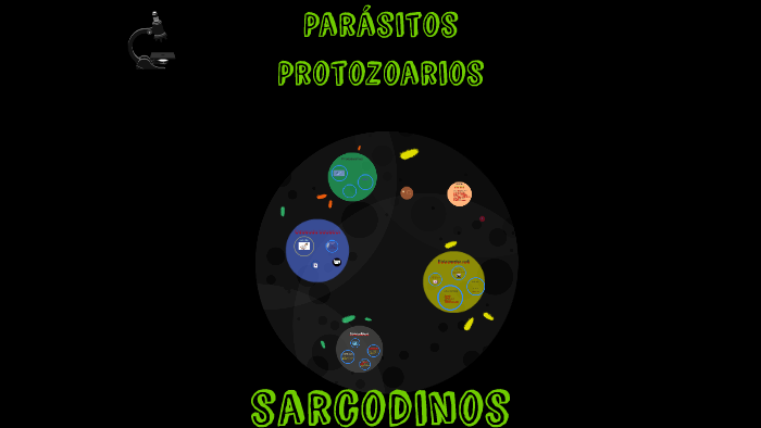 Parasitos by Protozoarios Sarcodinos on Prezi