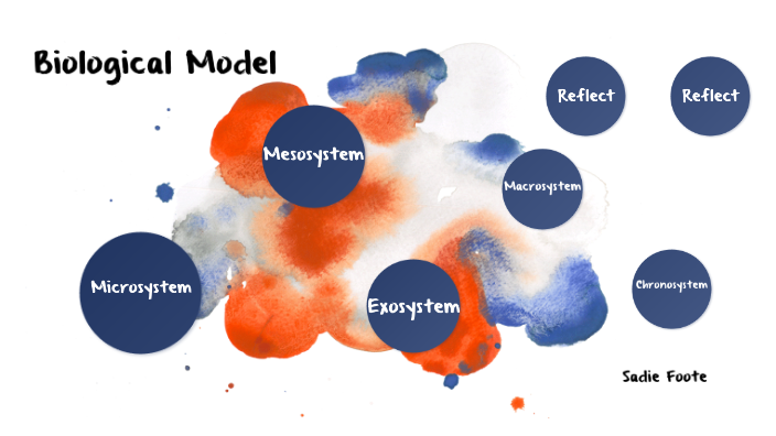 Ecology of the Child (Biological Model Assignment) by Sadie Foote on Prezi