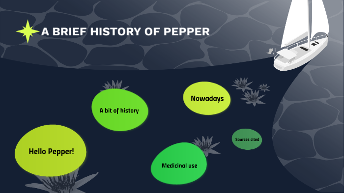 A brief history of Pepper by Allegra brambilla on Prezi