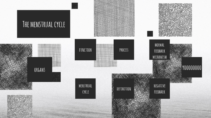 Feedback Mechanisms Involved in Regulating Processes in Female ...