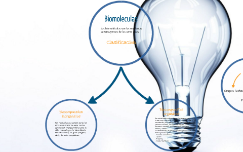 Ácidos Nucleicos by Manuel Nucci on Prezi