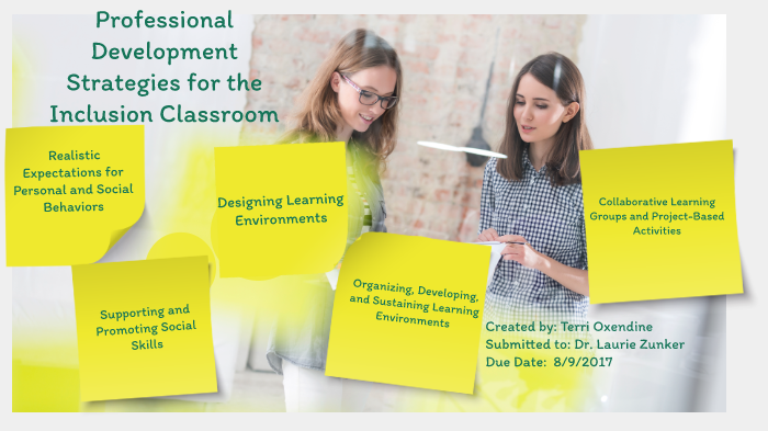 Professional Development Strategies for the Inclusion Classroom by ...