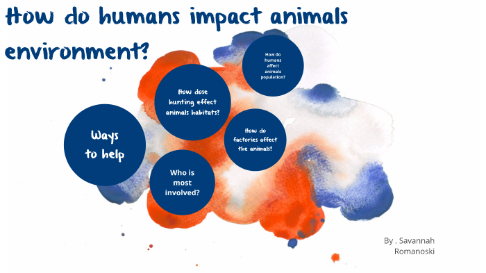 How do humans impact animals envirnment by savannah romanoski on Prezi