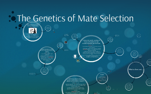 The Genetics of Mate Selection by Allie Hughes on Prezi