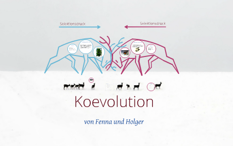 Koevolution by Holger Janßen on Prezi