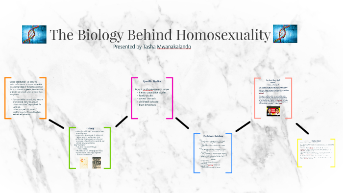 The Biology Behind Homosexuality by Tasha Mwanakalando on Prezi