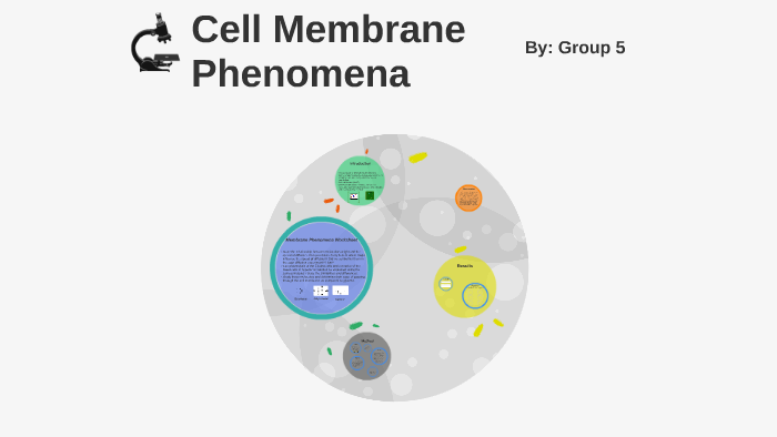Cell Membrane Phenomena by Arianna Brock on Prezi