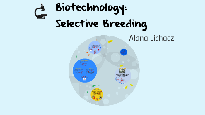 Biotechnology: Selective Breeding by Alana Warner on Prezi