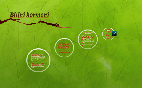 Biljni hormoni by Viktor markovic on Prezi