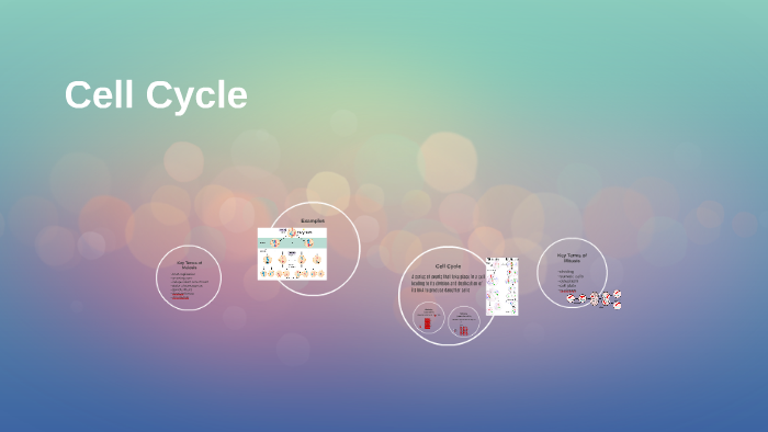 Cell Division by Kelsie Mayne