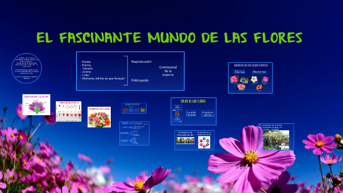 EL FASCINANTE MUNDO DE LAS FLORES by Malee Lerin on Prezi