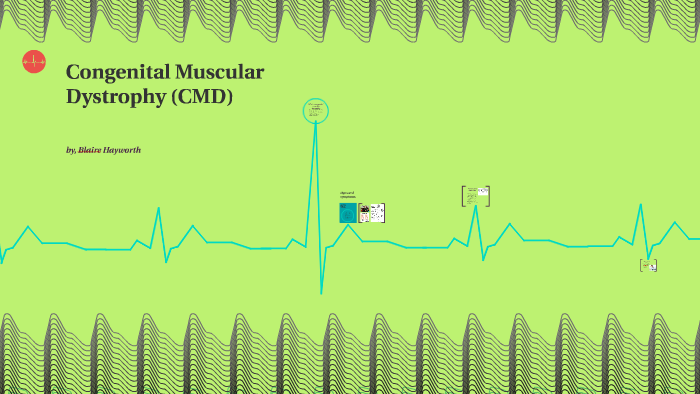 Diagnosing Congenital Muscular Dystrophy (CMD) by blaire hayworth on Prezi