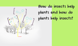 How do insects help plants and how do plants help insects? by gadis ...