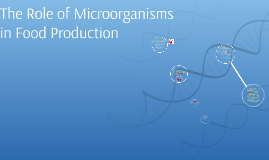 The Role of Microorganisms in Food Production by James Ventura on Prezi