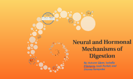 Neural and Hormonal Mechanisms of Digestion by Autumn Glenn on Prezi