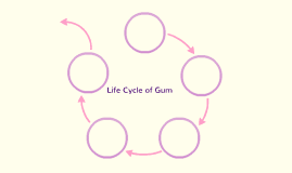 LIFE CYCLE OF CHEWING GUM by Hailey Duong on Prezi