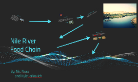 Nile River Ecosystems by Nicholas Nuss on Prezi