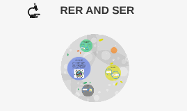 RER and SER by George Genc on Prezi