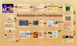 Koevolution und Parasiten- by on Prezi