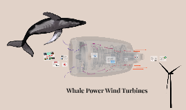 Whale Wind Turbines by Alex Garcia on Prezi