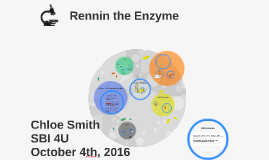 Rennin the Enzyme by Chloé Smith on Prezi