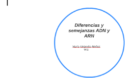 Semejanzas Entre Adn Y Arn