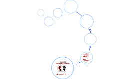 Stap 3 GVO-Cyclus by Rik Andela on Prezi