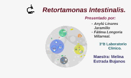 Retortamonas Intestinalis. by FATIMA LONGORIA on Prezi