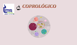 COPROLÓGICO by PERLA NIETO on Prezi