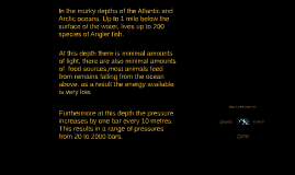 Angler Fish Adaptations by Will Wood on Prezi