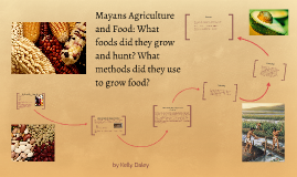 Mayans Agriculture and Food: What foods did they grow and hu by Kelly ...