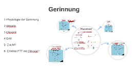 Gerinnung by Khaled Nemer on Prezi