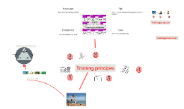 Trainingsleer module kracht by Marco van Tol on Prezi