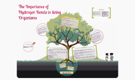 The importance of hydrogen bonds in living organisms by Shannon Brown ...