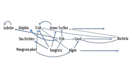 Florida Keys National Marine Sanctuary Food Web by Omid Dodell on Prezi